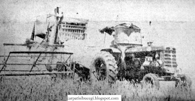 carpatisisrd: BUCEGI SR 116- BASCULE