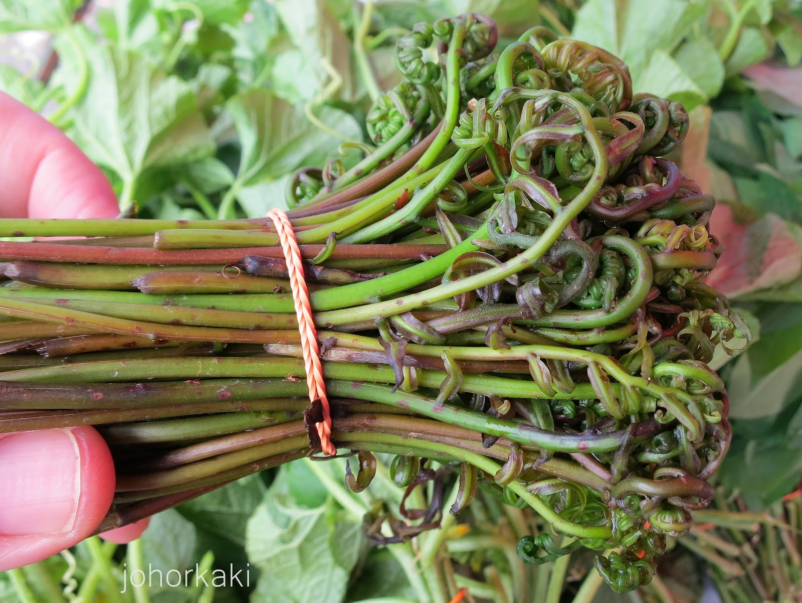 Sarawak Market in Johor Bahru (Pasar Borneo) |Tony Johor Kaki Travels ...