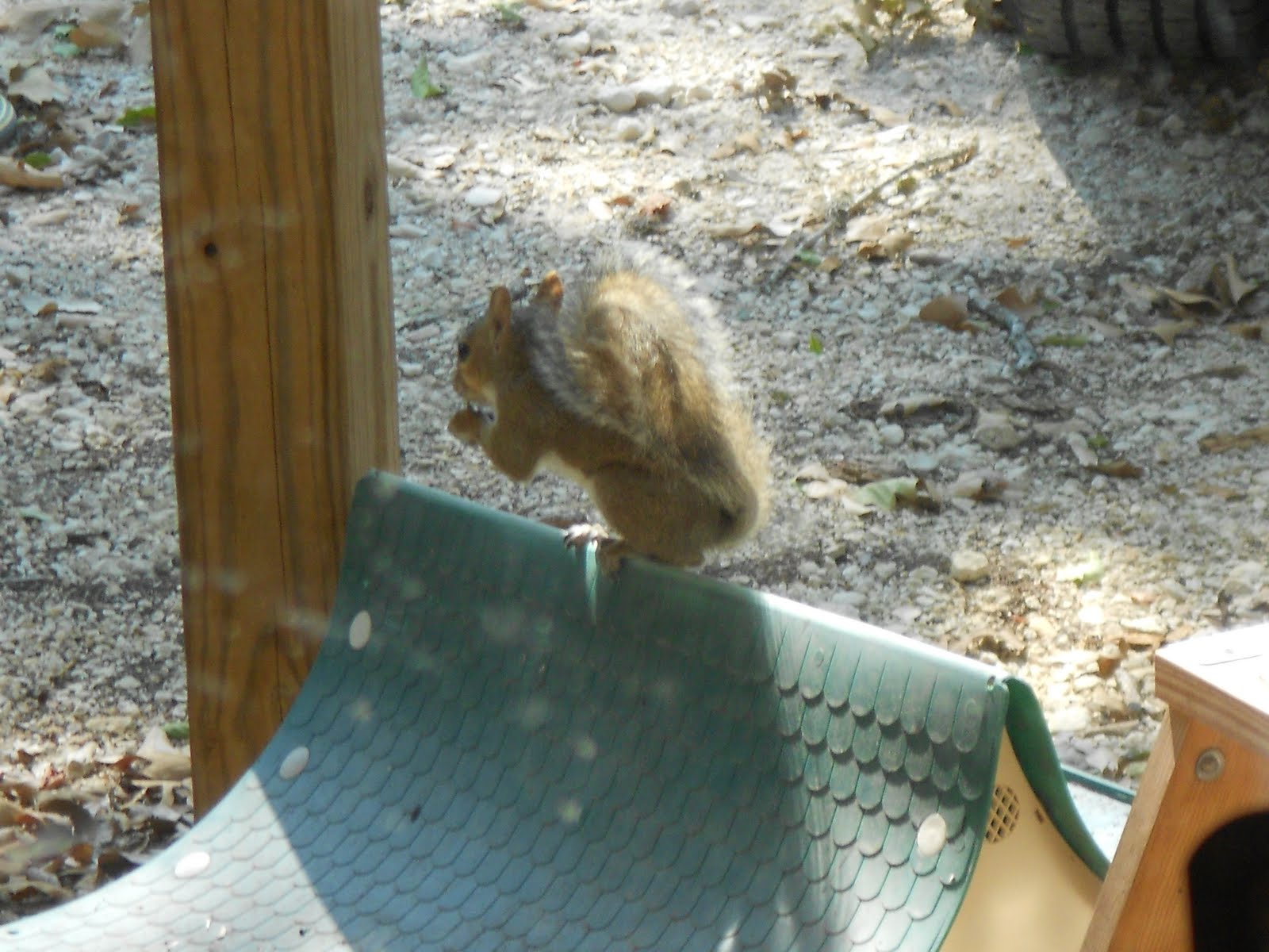 In a Cabin by a Wood: September 2011