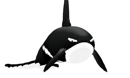The Presurfer: Killer Whale