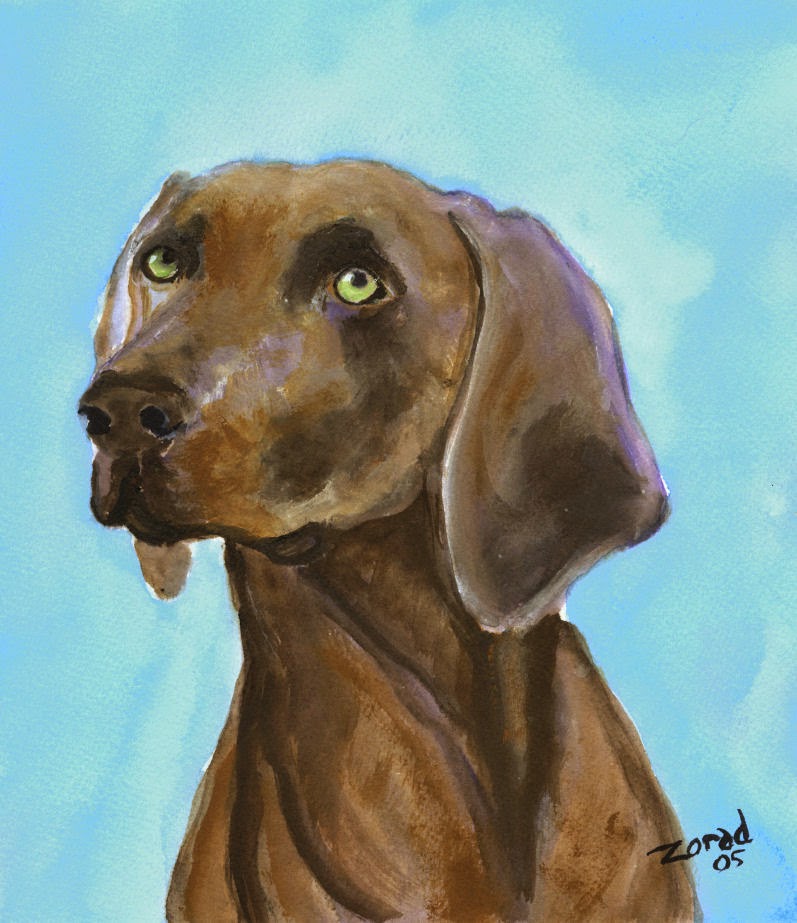 Pet Portraits International: Weimaraner Dog painting by Mary Jo Zorad ...