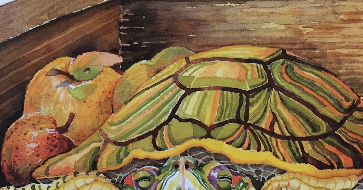 Picture Book Theology: Resurrection Turtles