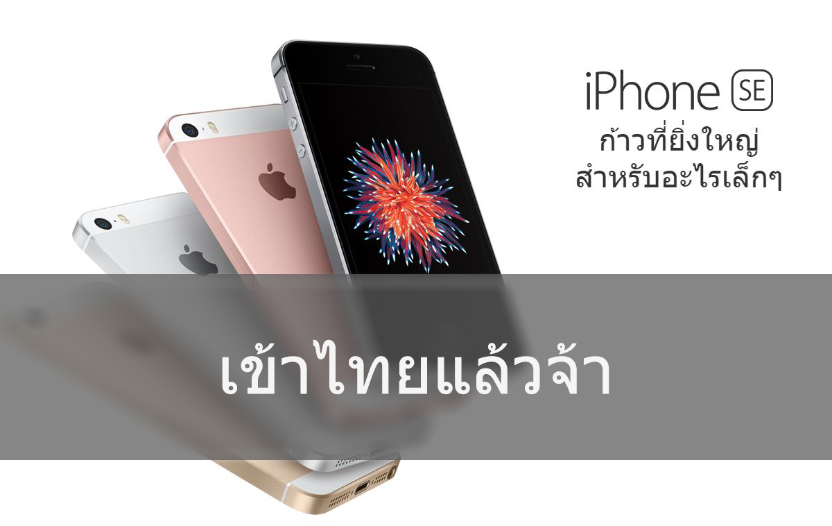 iPhone SE (Special Edition) เครื่องเล็กแต่ใจใหญ่ เข้าไทยแล้วจ้า ...