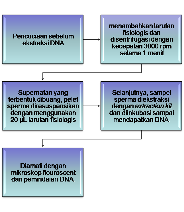 Bioteknologi Ikan Transgenik