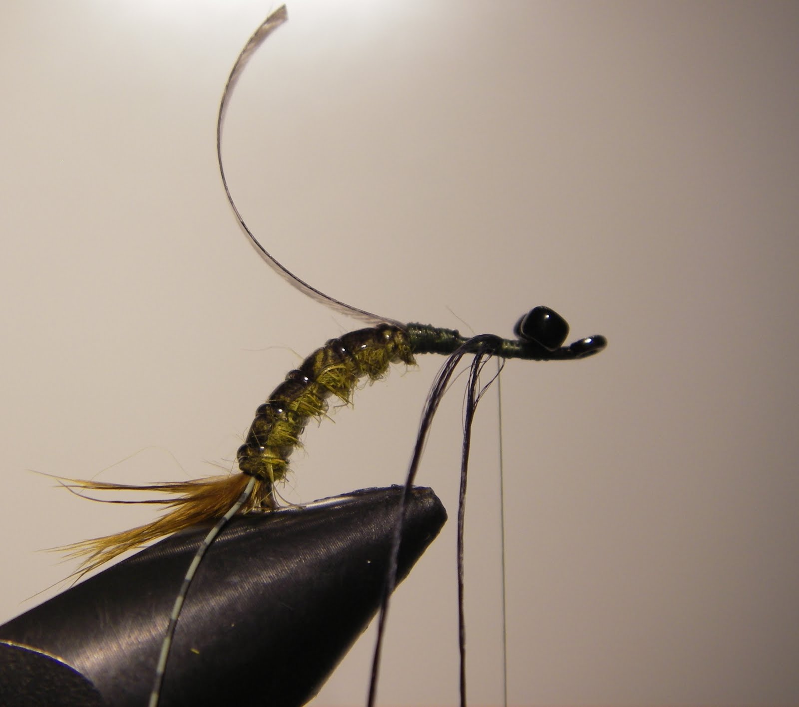 This River is Wild: The Fly That Changed The Game