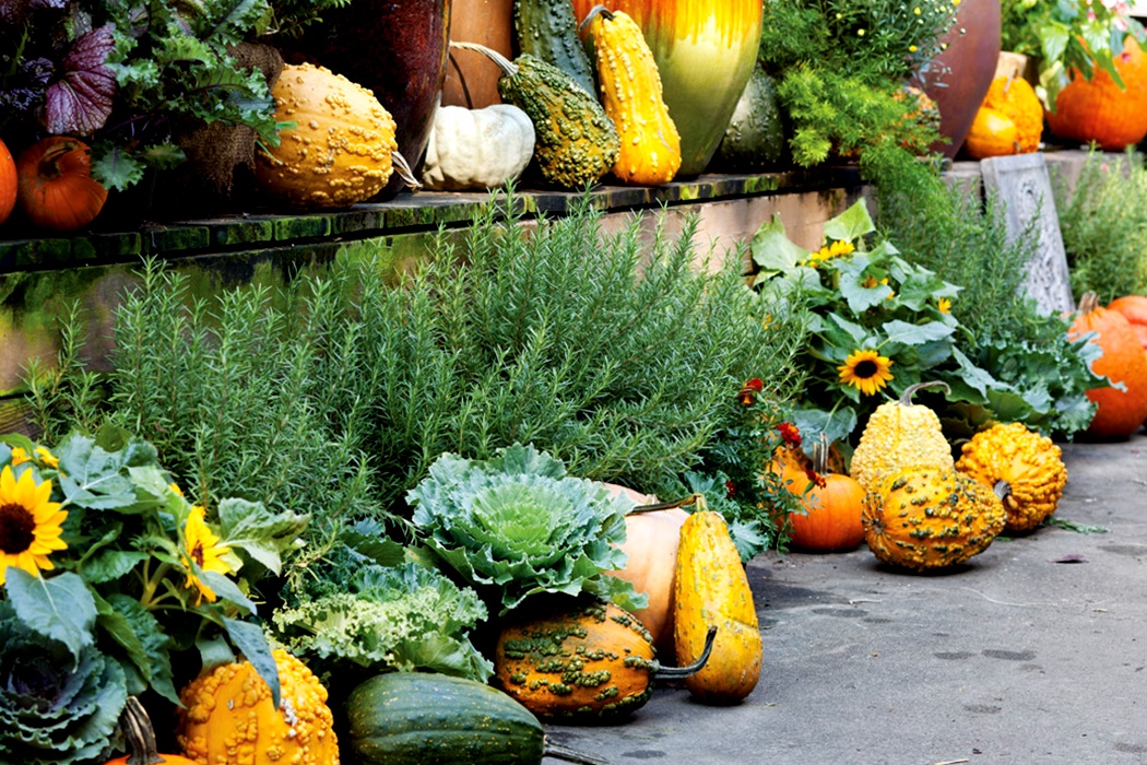 The Domestic Curator: Easy Ways To Decorate With Pumpkins