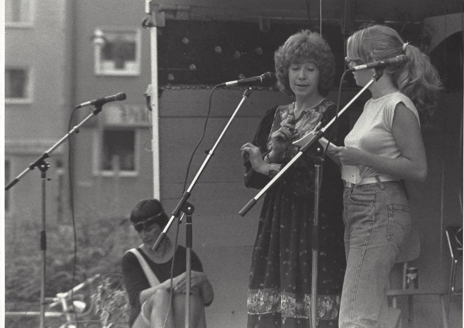 Vallentuna Revyn 1980-1991: 1981 Än lever våra gamla gudar