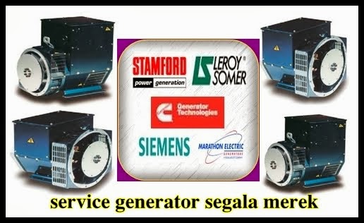 SERVICE GENERATOR / ALTERNATOR GENSET - SERVICE GENSET