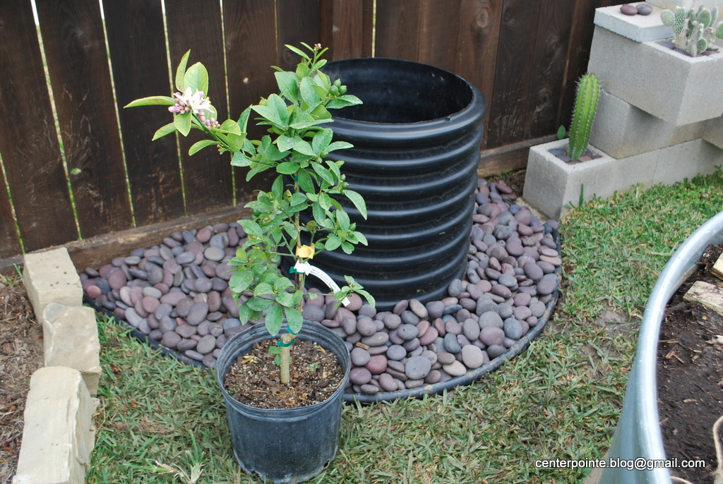 Centerpointe Communicator: Culvert planters, Part 1