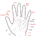 Astrology and Palmistry Portal: Palmistry Hands Charts