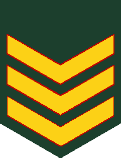 Senarai Pangkat Tentera Darat Malaysia (TDM)