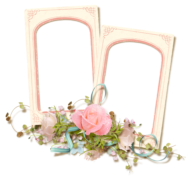 ForgetMeNot: pink roses cluster frames