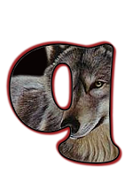 Alfabeto realista de lobos. - Oh my Alfabetos!