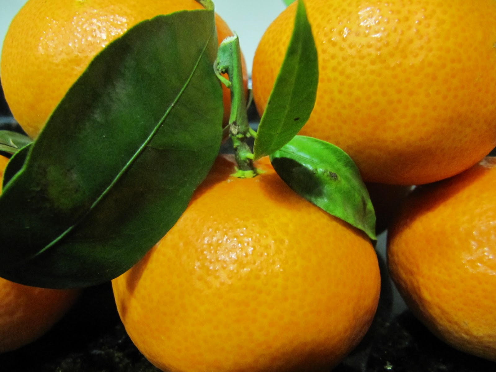 MandarinasSanz.com - Evolución: Mandarinas clementinas Clemenules la ...