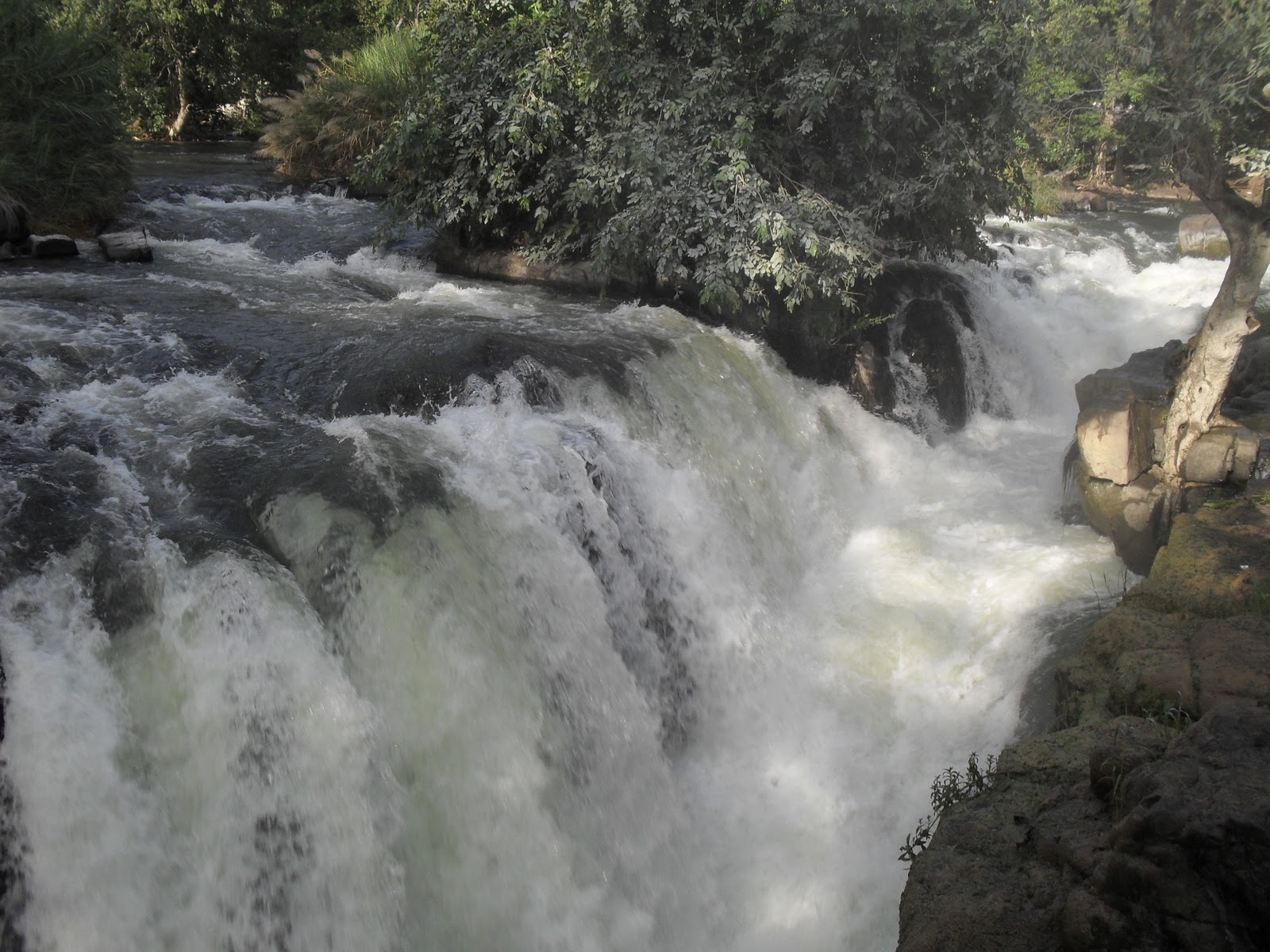 YENNAAR: Hogenakkal Falls, near Dharmapuri