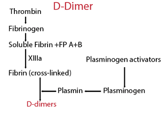 mengetahui tentang D-Dimer sebagai salah satu parameter dalam Intra ...
