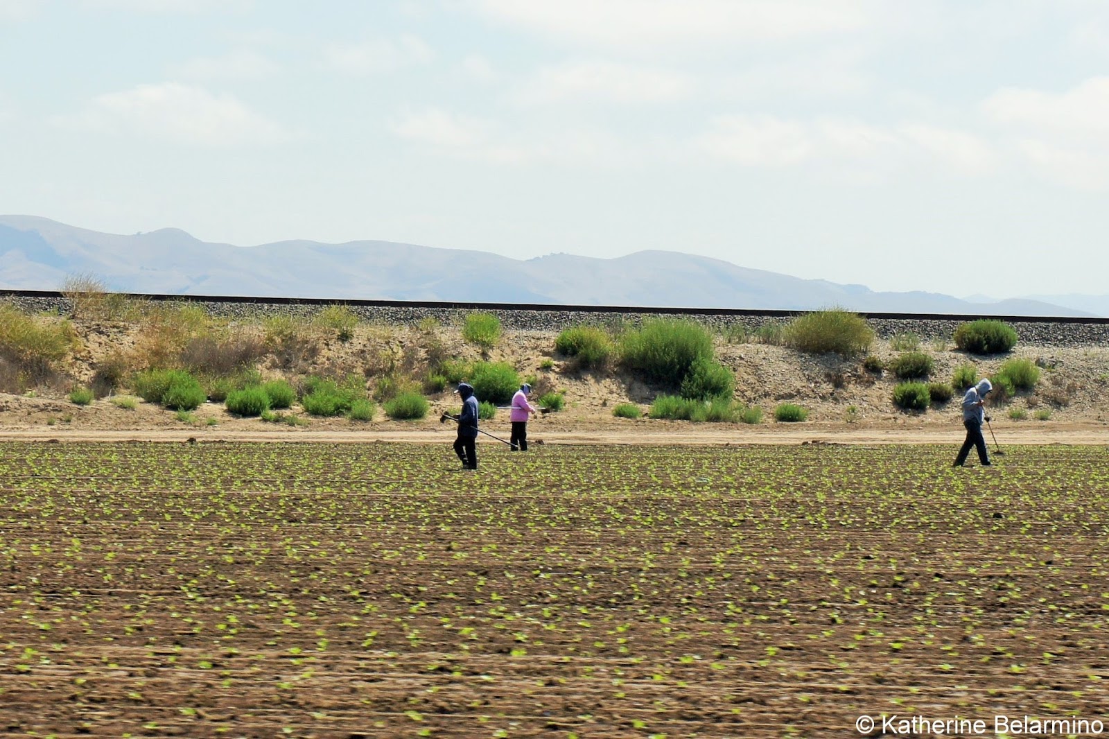 Santa Maria: A Secret Central California Weekend Getaway | Travel the World