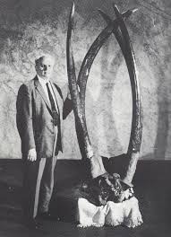 The Four Tusked Elephant