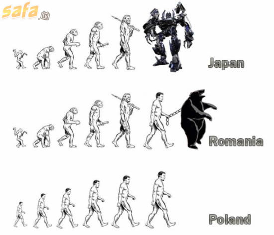 credit goes to google images