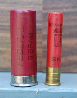 Eaton Rapids Joe: Why the love for the .410?