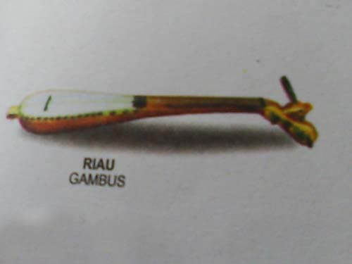 30 Jenis Alat Musik Tradisional Indonesia dan Asal Daerahnya