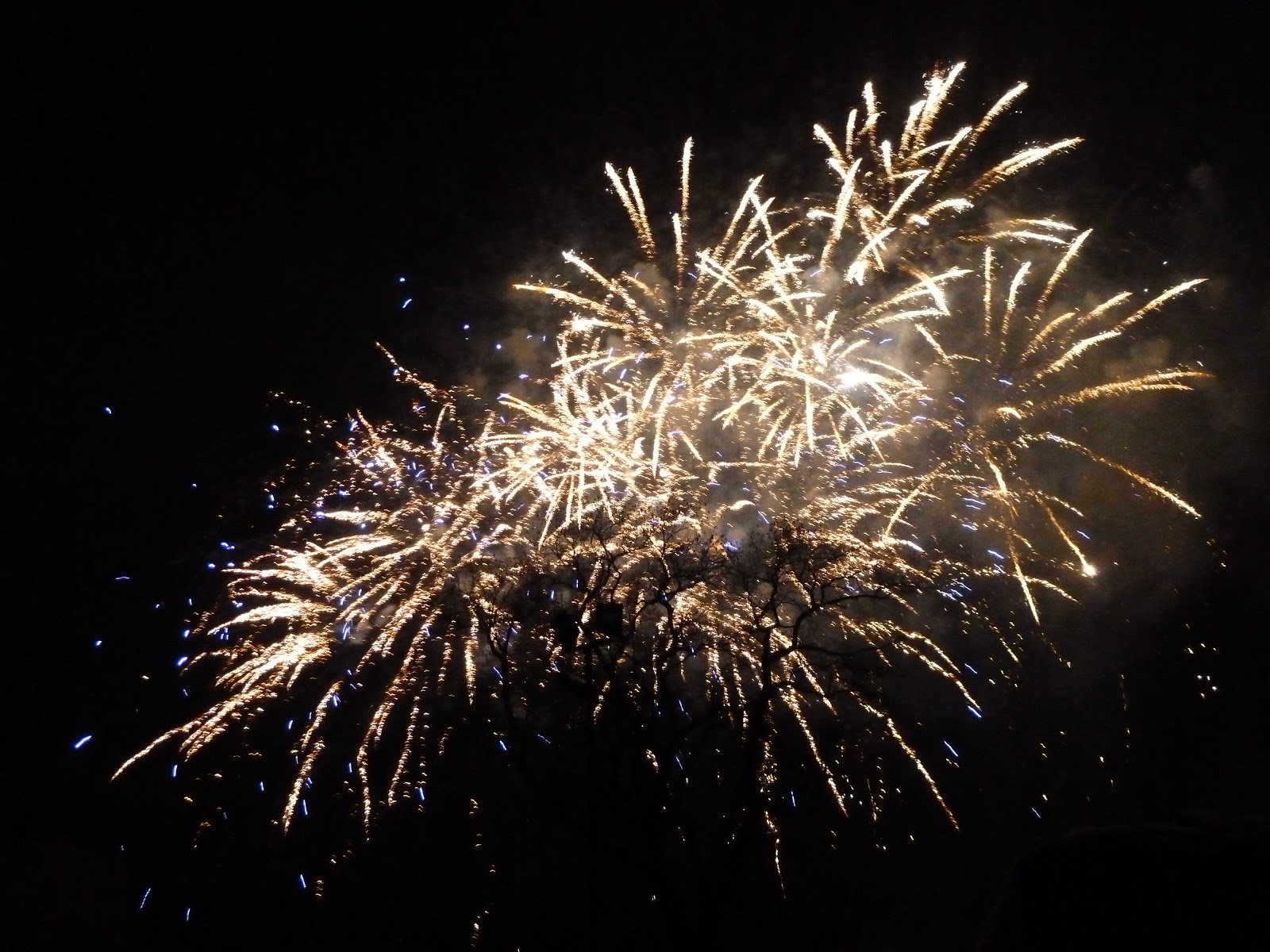 Pink Leprechaun: November 2012