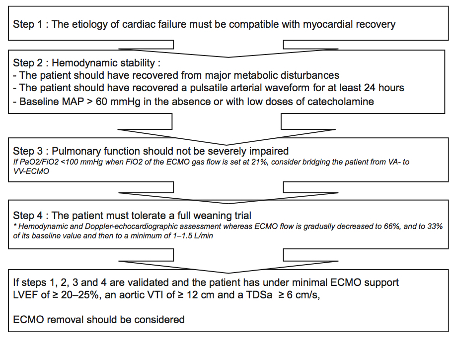 Manuali di Medicina Intensiva: Principi di ECMO (Capitolo 12.5.1)