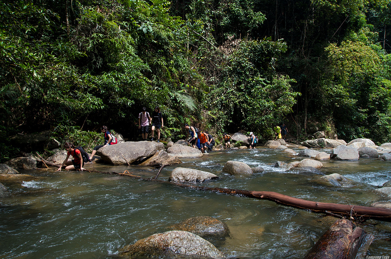 Nature Outdoor Camp Pro-Team KEM RIMBA TAMU,82RENING, BTG KALI ...