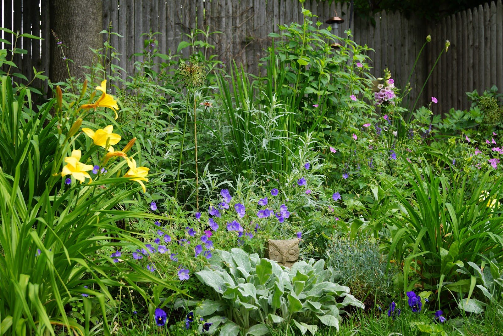 Nyack Garden Journal: Plant Combinations