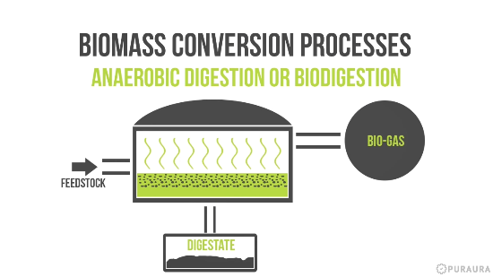 Teknik Ekstraksi Biomassa Menjadi Energi Tepat Guna | Berbagilah Selagi ...