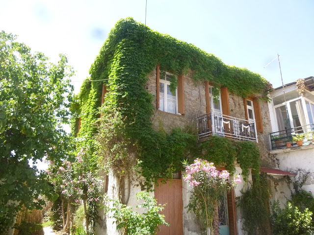 ΠΕΡΙΒΑΛΛΟΝ ΥΓΕΙΑ ΟΙΚΟΛΟΓΙΑ: ΟΤΑΝ ΘΕΛΕΙ Η ΦΥΣΗ ΚΑΙ Η ΖΩΗ. ΒΙΟΛΟΓΙΑ