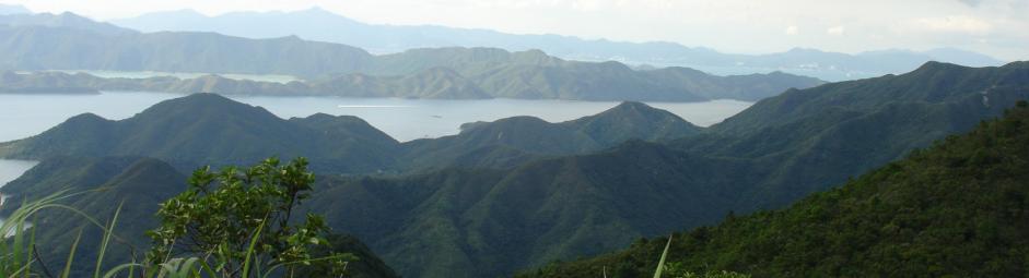 Vibram® Hong Kong 100 Ultra Trail Race vin_ann