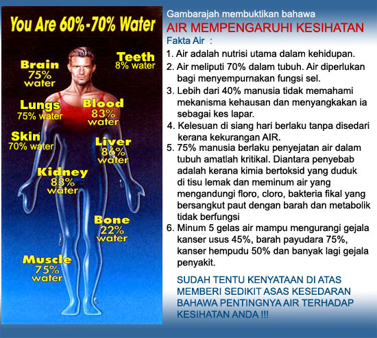 REIKI ALAMIA: Manfaat Air Dalam Tubuh Melalui Reiki