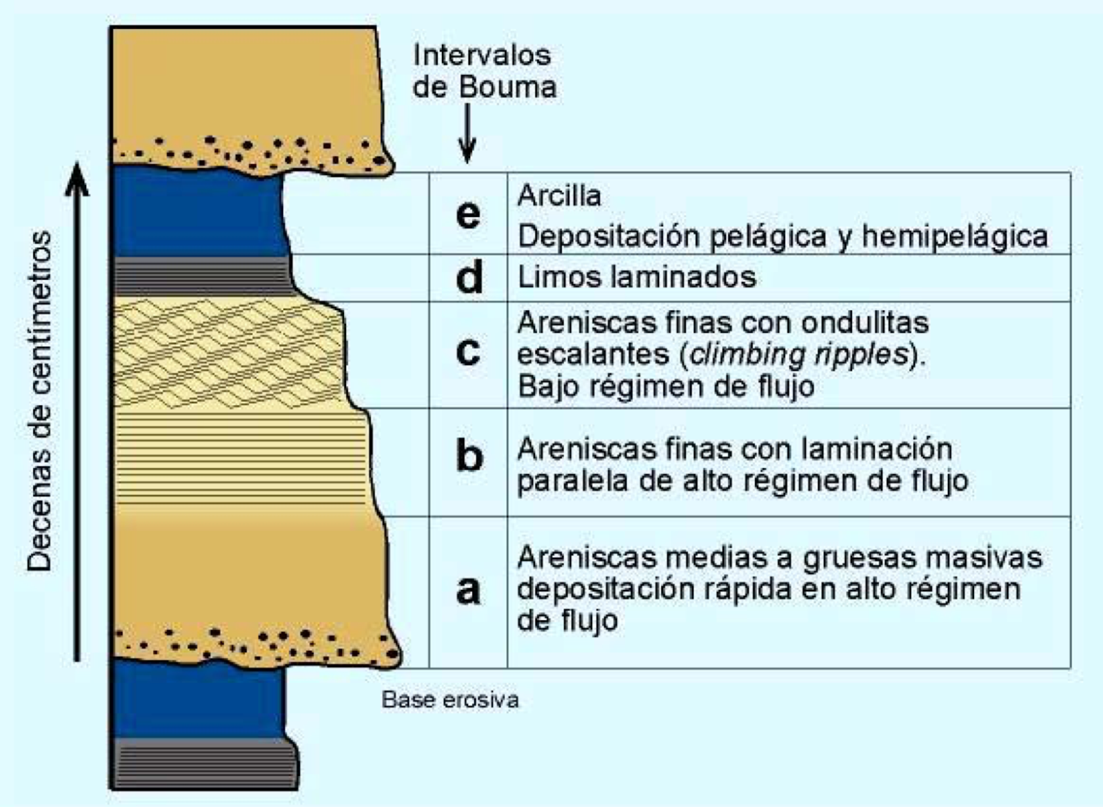 Mi Geoblog: Geologia y más: LAS TURBIDITAS DE SAN PEDRO DE ANTROMERO