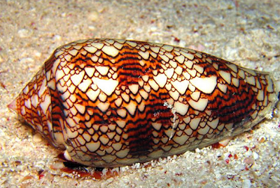 Inilah Terror yang Selalu Bersembunyi Didalam Kegelapan ~ Asyik Seru