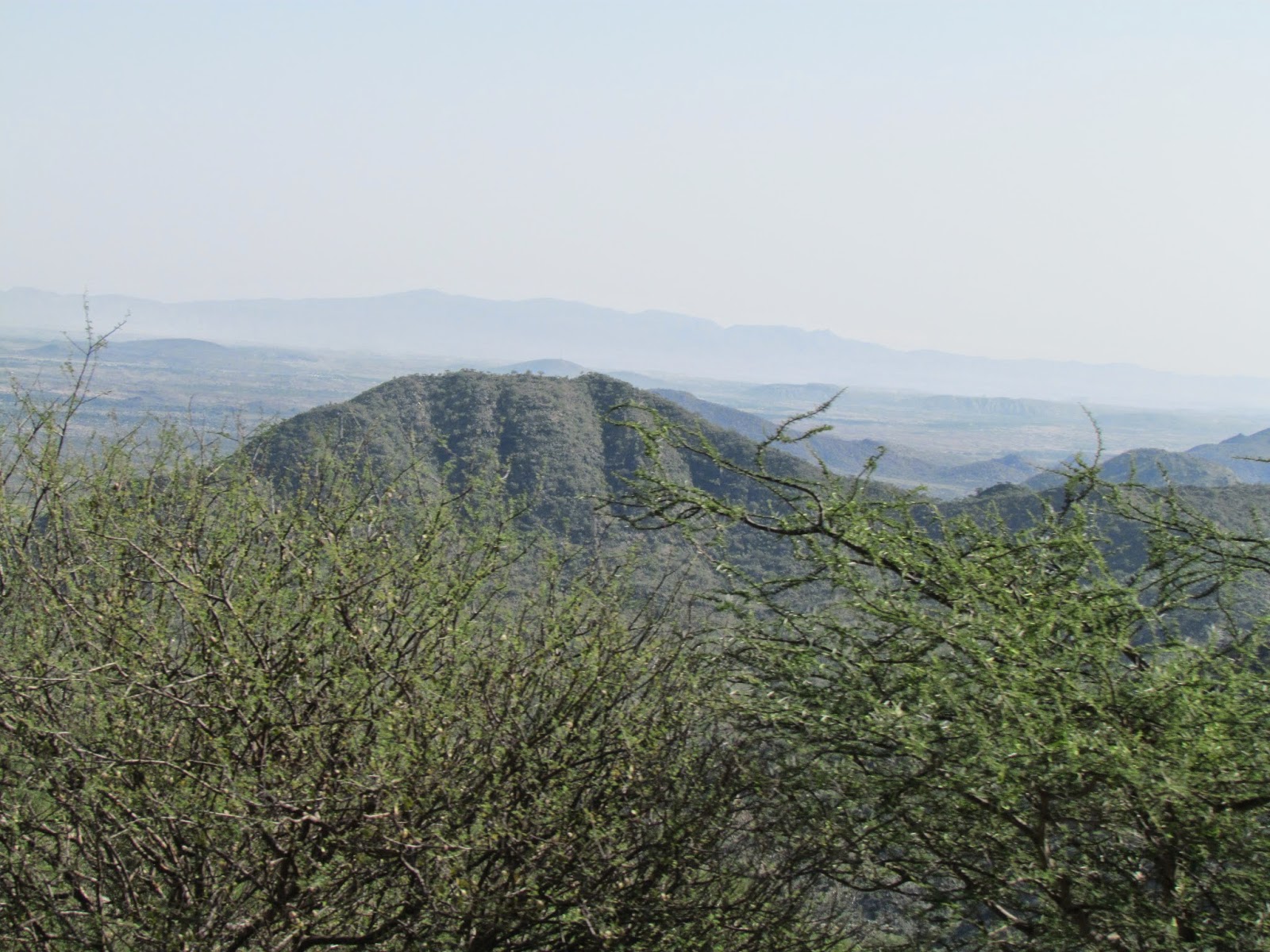 The plateau of Somaliland