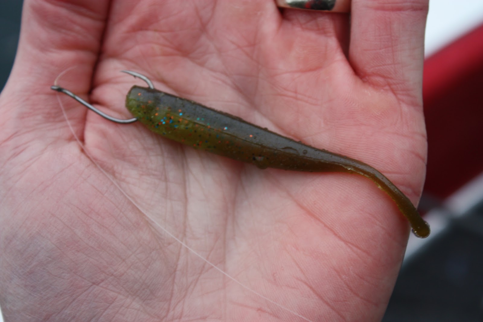 T Brinks Fishing: My New Favorite Drop-Shot Bait: The Berkley ...