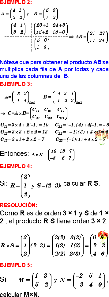 MATRICES EJERCICIOS RESUELTOS PDF