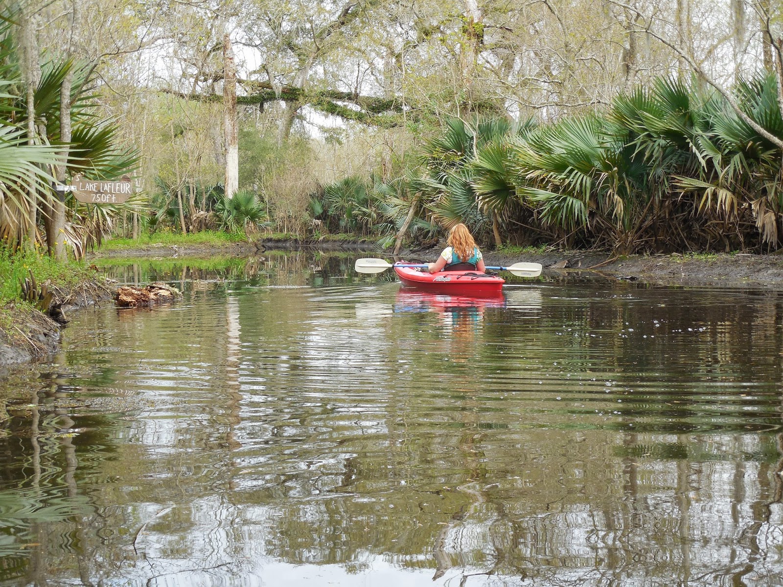 Our 2014 AdVANture...: Kayaking with Alligators