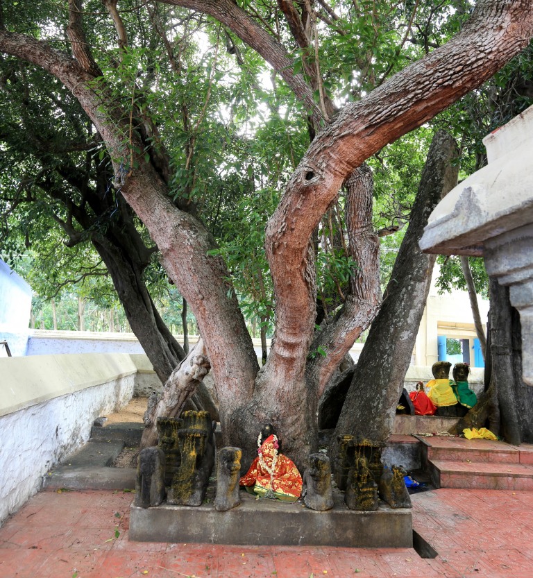 Tamilnadu Tourism: Kalakalar Temple, Melancode, Kanyakumari