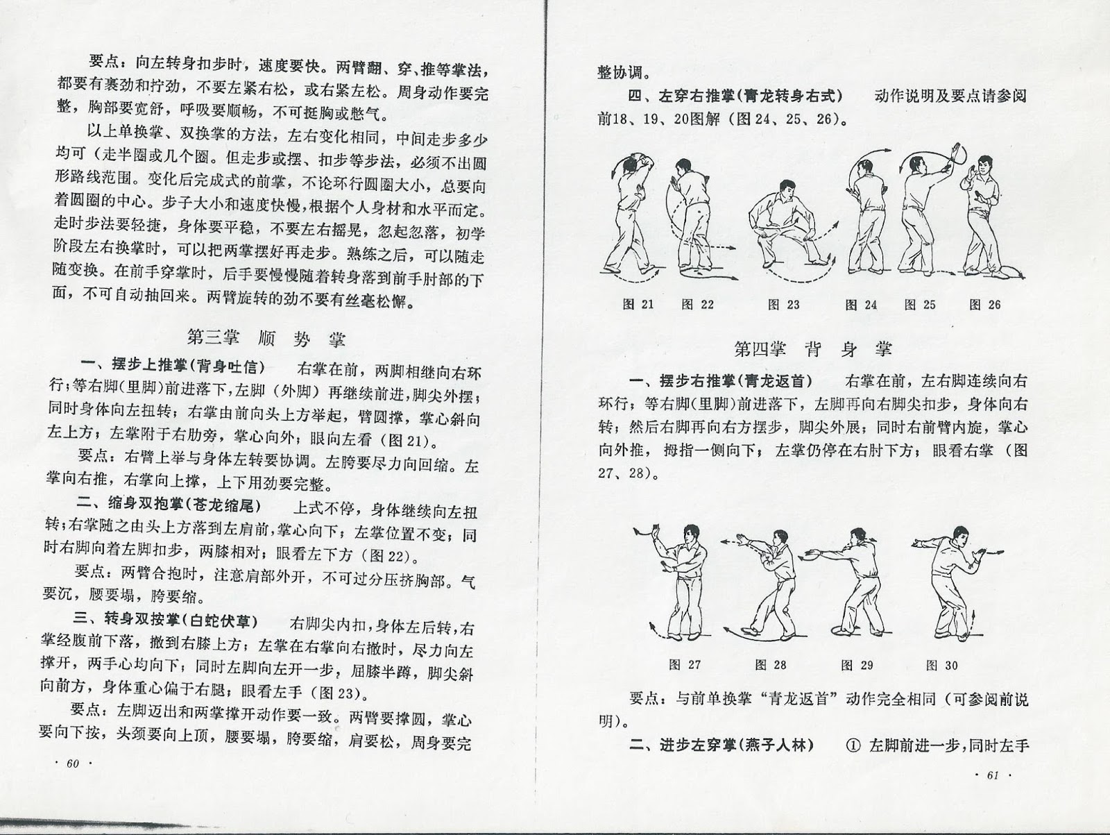 Isshin - Concentration the Art: A Bagua form from my collections