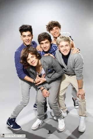 Poland One Direction: Sesja SNL