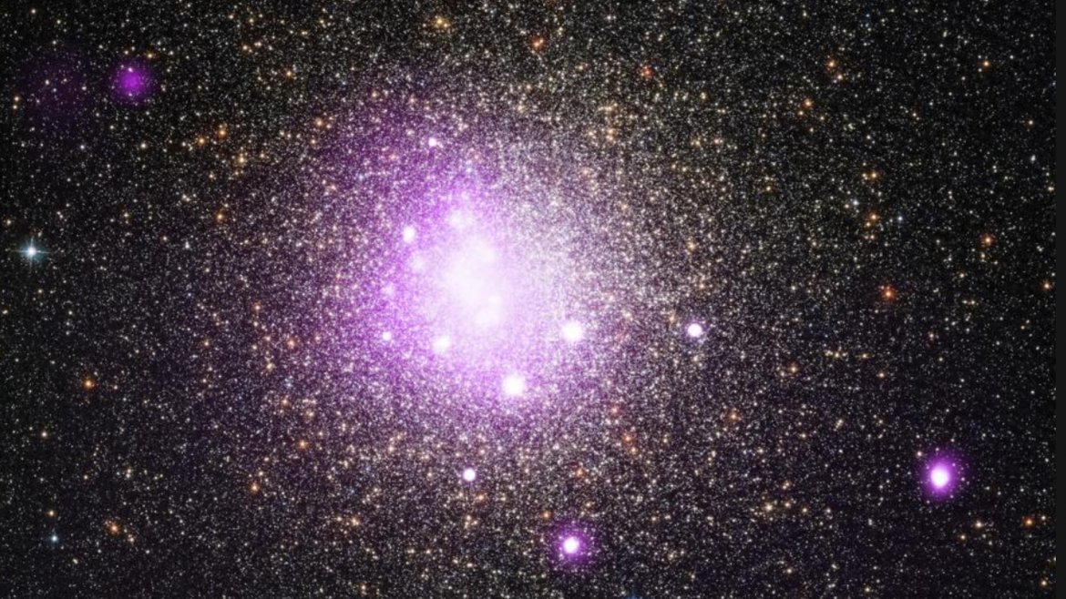 Avibert: diciembre 2015