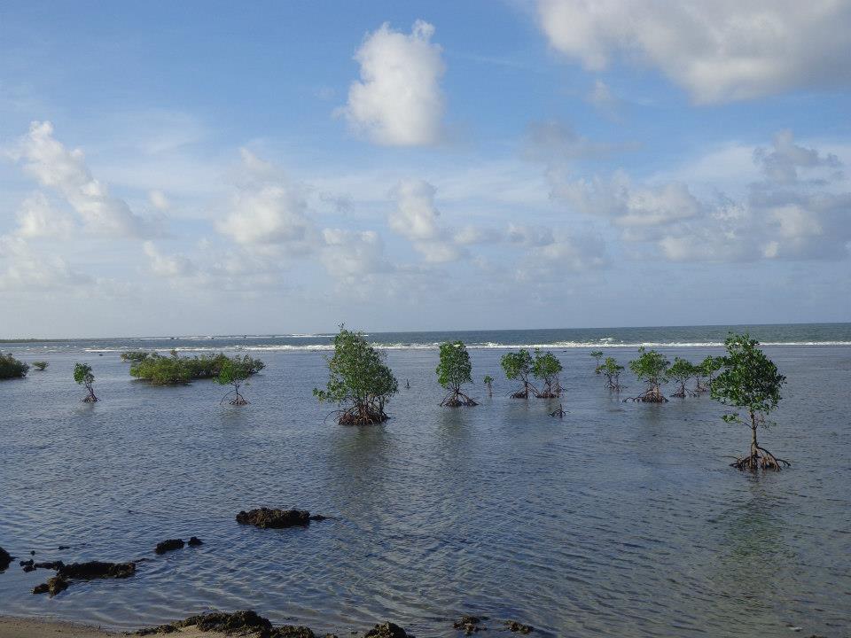 Catarman White Beach - The Wandering Juan