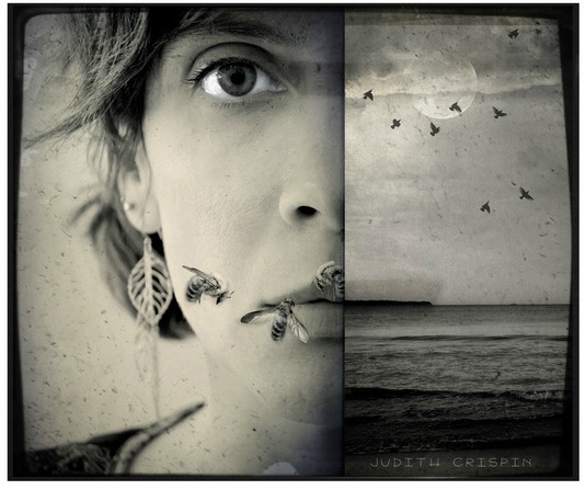 A Tranquil Townhouse: exhibitions from the foto biennale...