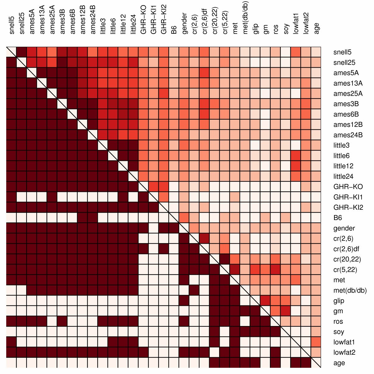Gis3015 Map Catalog Similarity Matrix