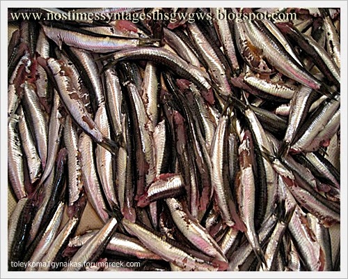 Marinated anchovy (gavro type fish) | deliciousrecipesofgogo