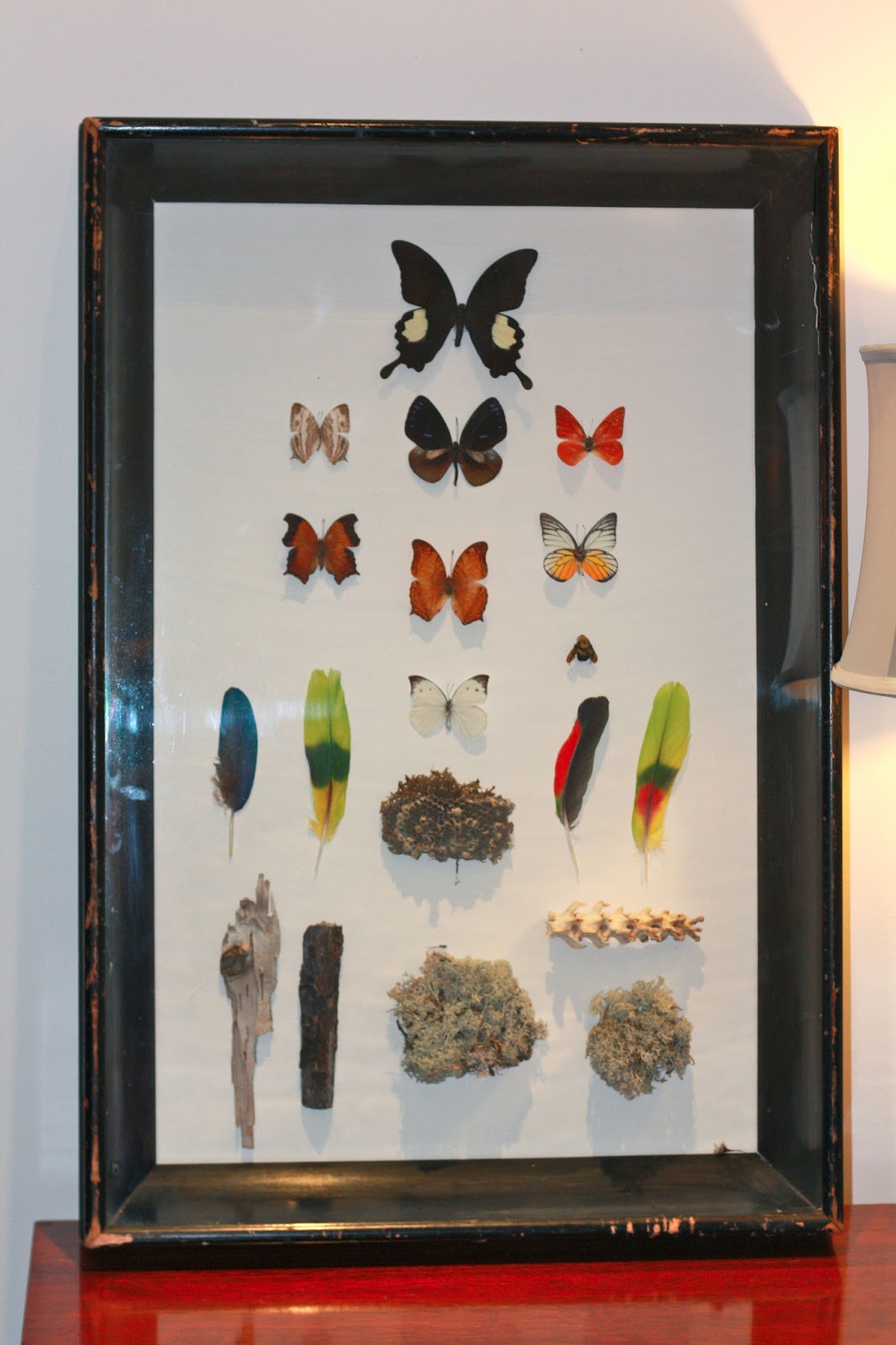 DuWest Reno: Vintage shadow box