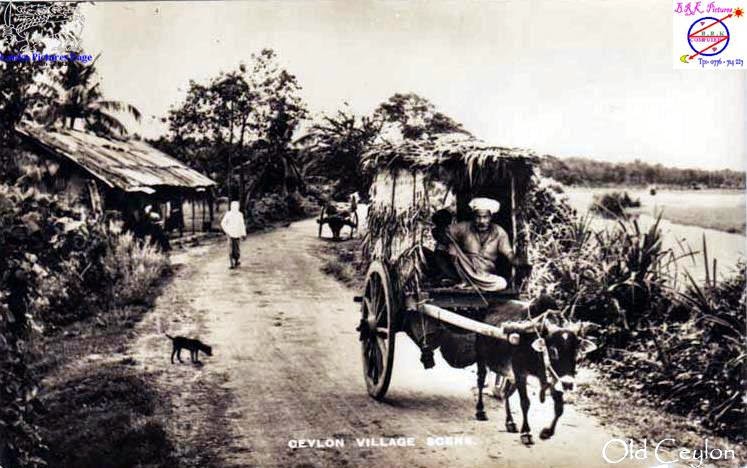 Lanka Pictures Page: Old Ceylon 3