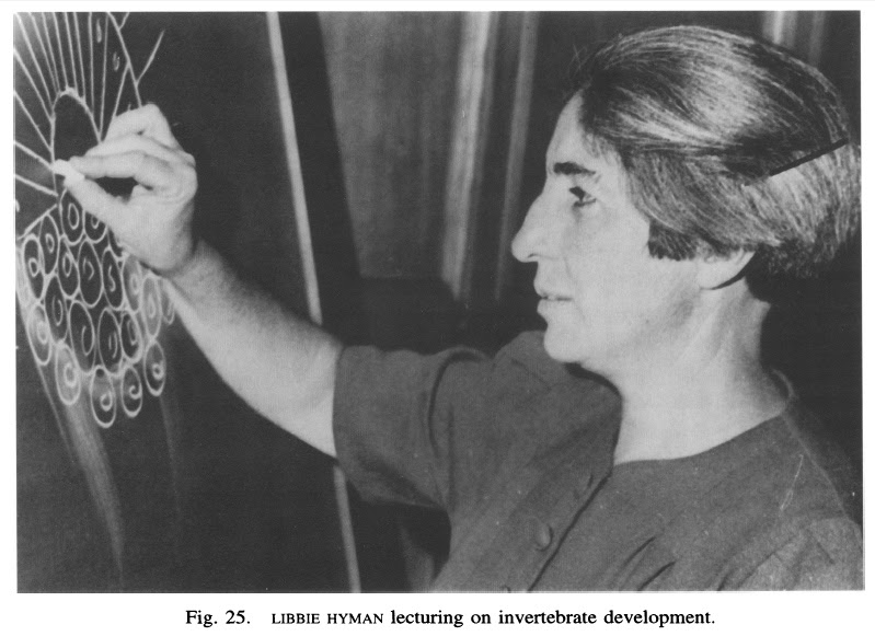 Libbie Hyman - Alchetron, The Free Social Encyclopedia